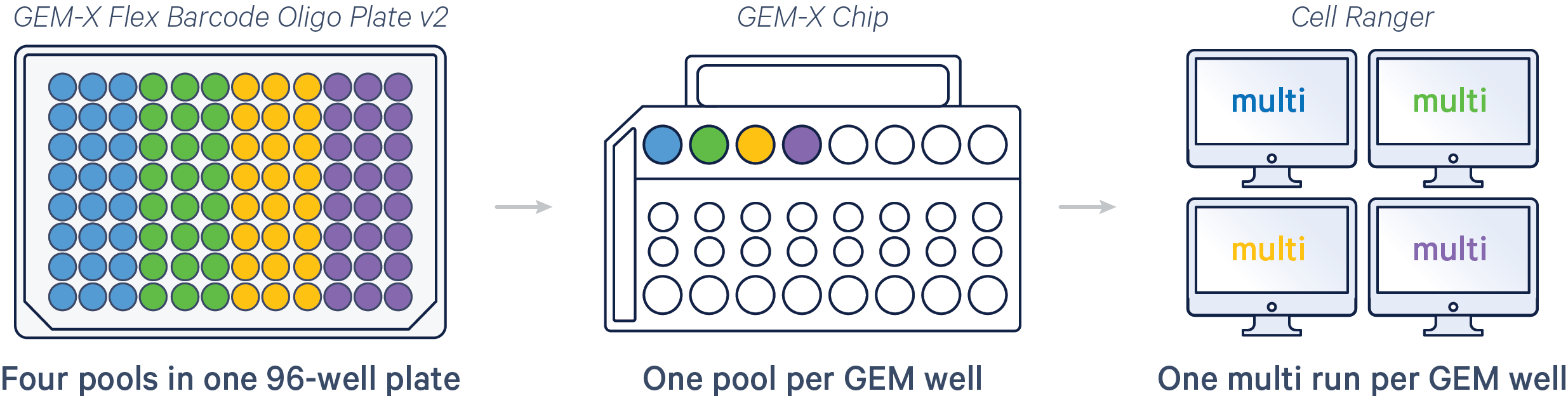 Flex v2 Gene Expression & Feature Barcode Analysis with Cell Ranger multi (Singleplex ...
